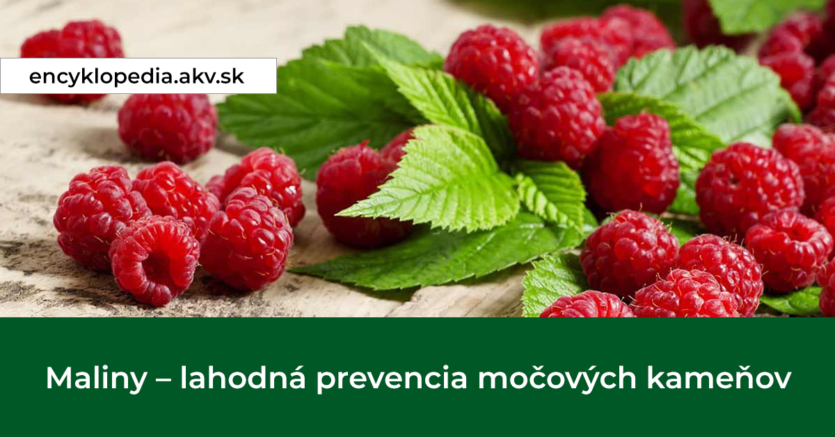 Maliny voňajú prázdninami - Encyklopedia AKV