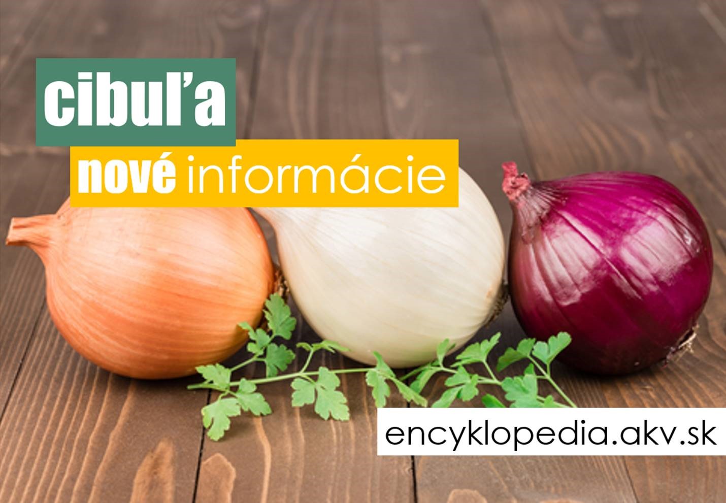 Cibuľa, cibuľka mladá, pór - Encyklopedia AKV