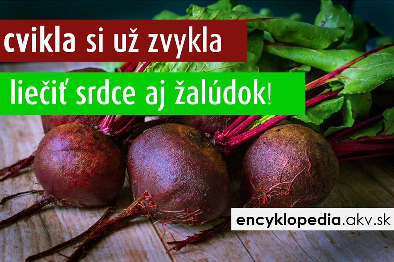 Cvikla - Encyklopedia AKV